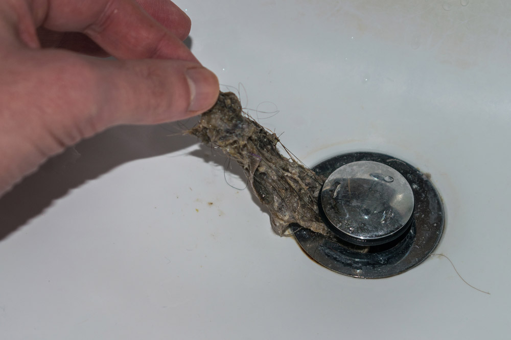 Consequences Of Skipping Drain Cleaning